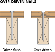 Glossary - Wood University