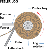 Glossary - Wood University